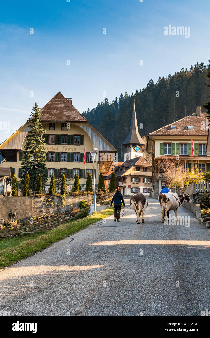 Viehschau in Trub, Emmental Stock Photo - Alamy