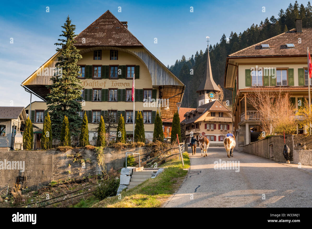 Viehschau in Trub, Emmental Stock Photo - Alamy