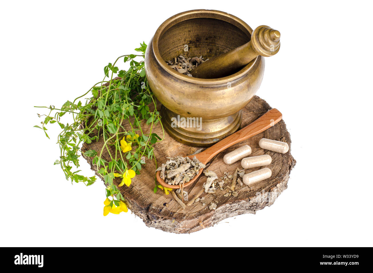 Herbal wild plants Cut Out Stock Images & Pictures - Alamy