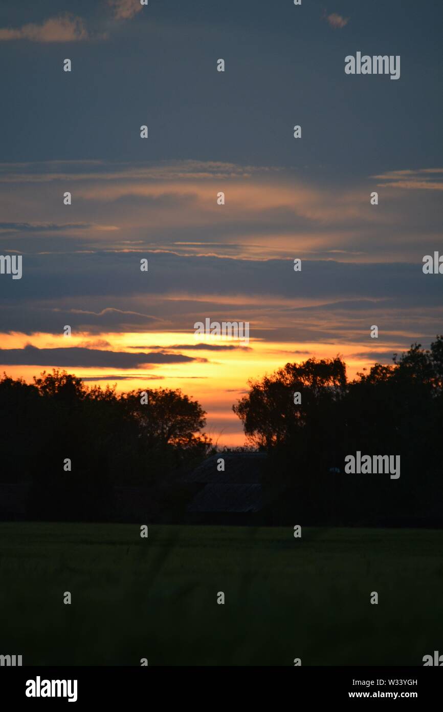 Sun going behind trees hi-res stock photography and images - Alamy