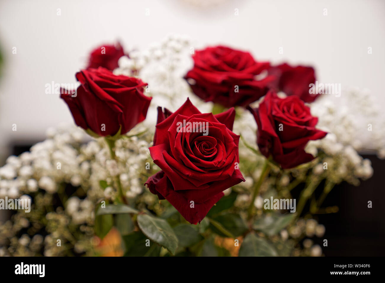 Seven red roses hi-res stock photography and images - Alamy
