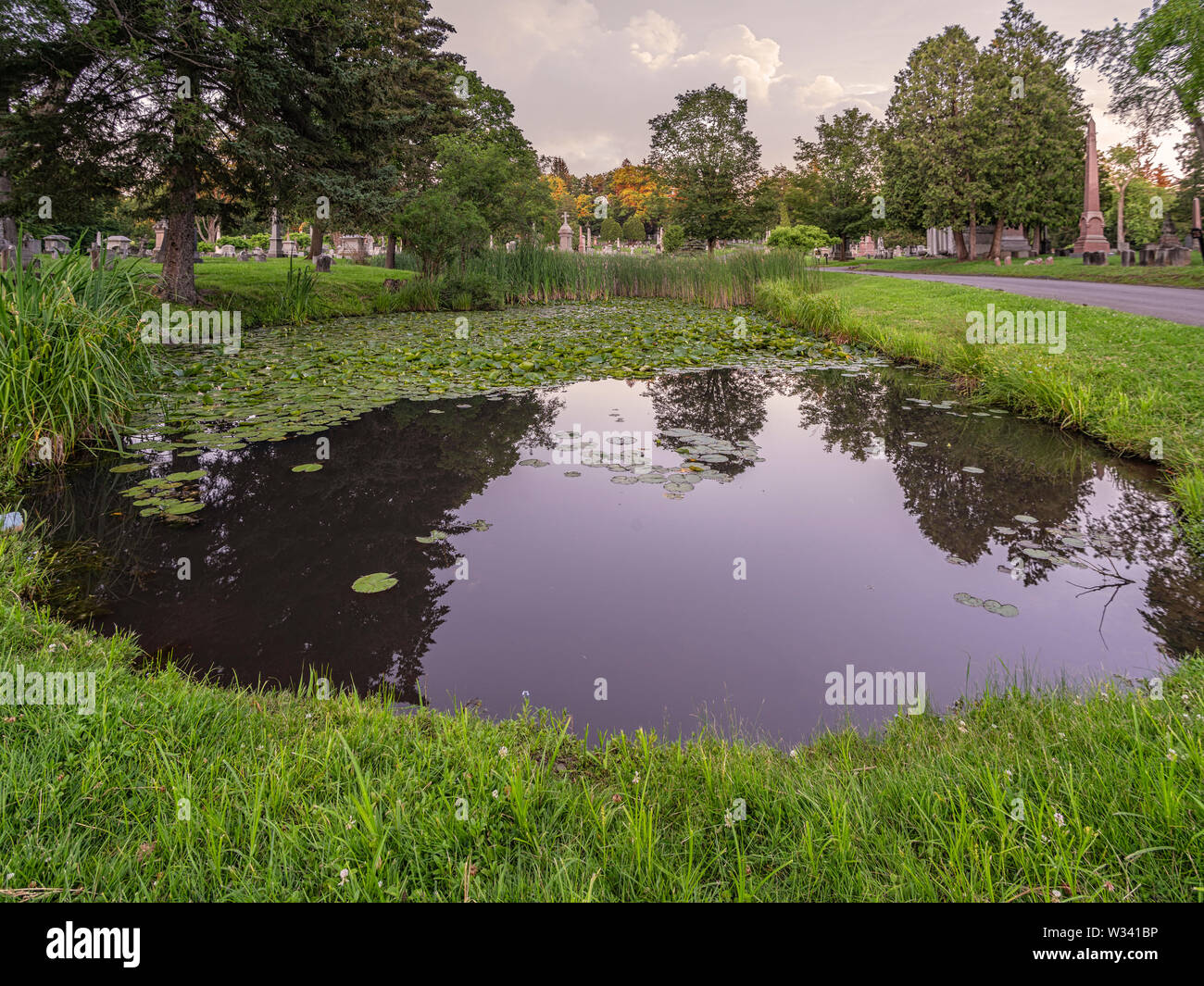 Wide View of Forest Hill Cemetery with a Marsh in the Foreground, a ...