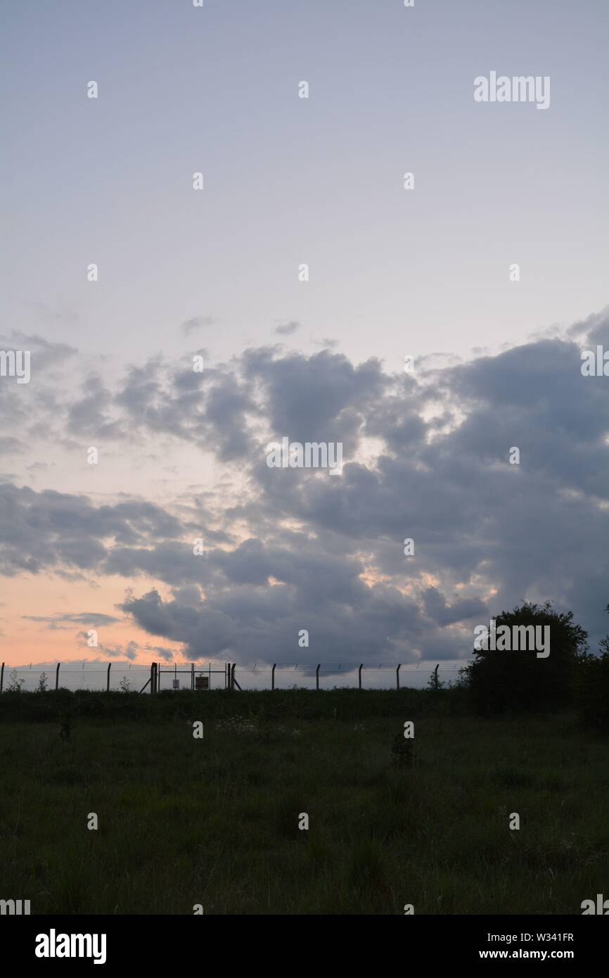 Landscape, shadowy trees with pastel shade sunset clouds Stock Photo ...