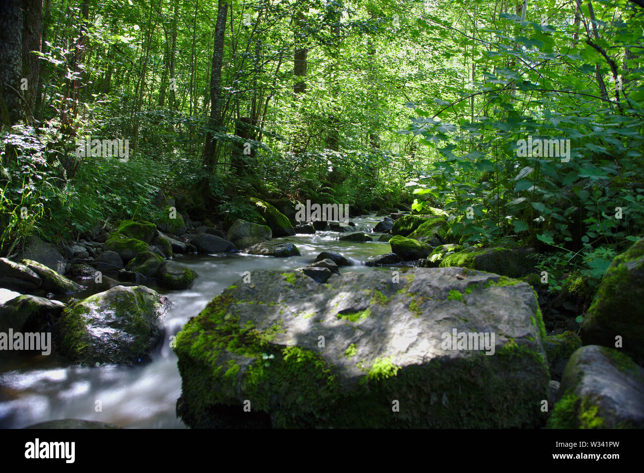 Ravennaschlucht hi-res stock photography and images - Alamy