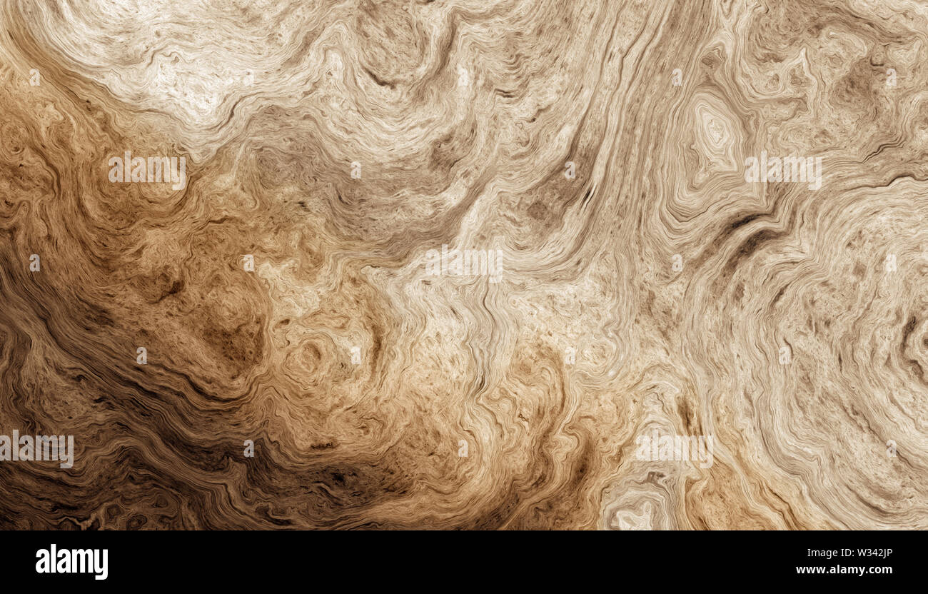 Texture of roots of tree with wavy lines and age rings. Pattern of ...