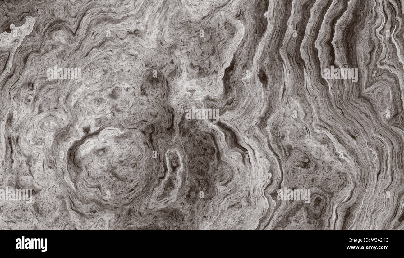 Texture of roots of tree with wavy lines and age rings. Pattern of ...