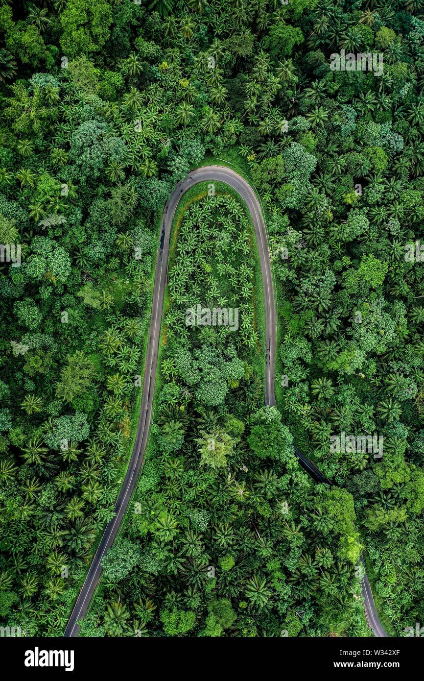 Aerial view of road through jungle hi-res stock photography and images ...