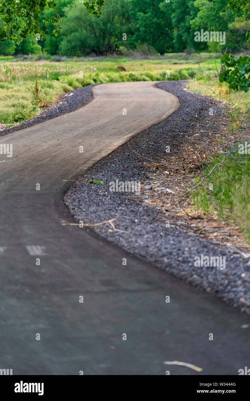 Close up of narrow paved road in the middle of a grassy terrain on a ...