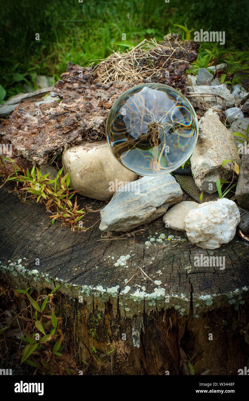 Fortune tellers magic glass crystal ball in nature Stock Photo - Alamy
