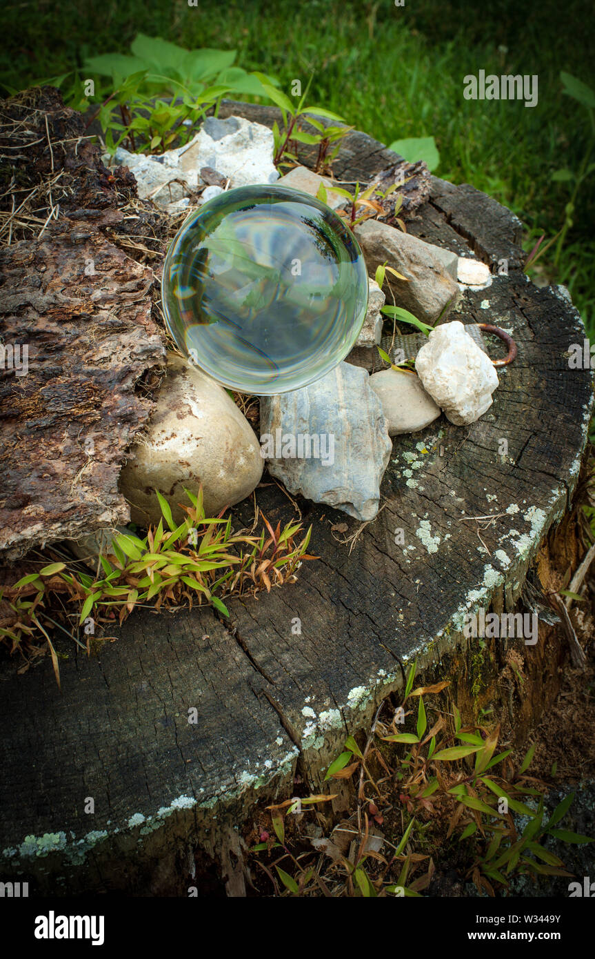 Fortune tellers magic glass crystal ball in nature Stock Photo - Alamy