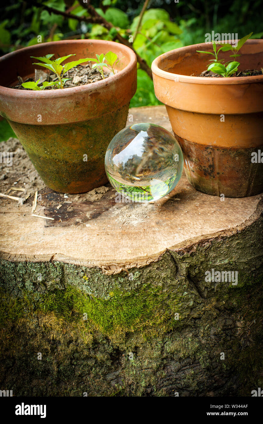 Fortune tellers magic glass crystal ball in nature Stock Photo - Alamy