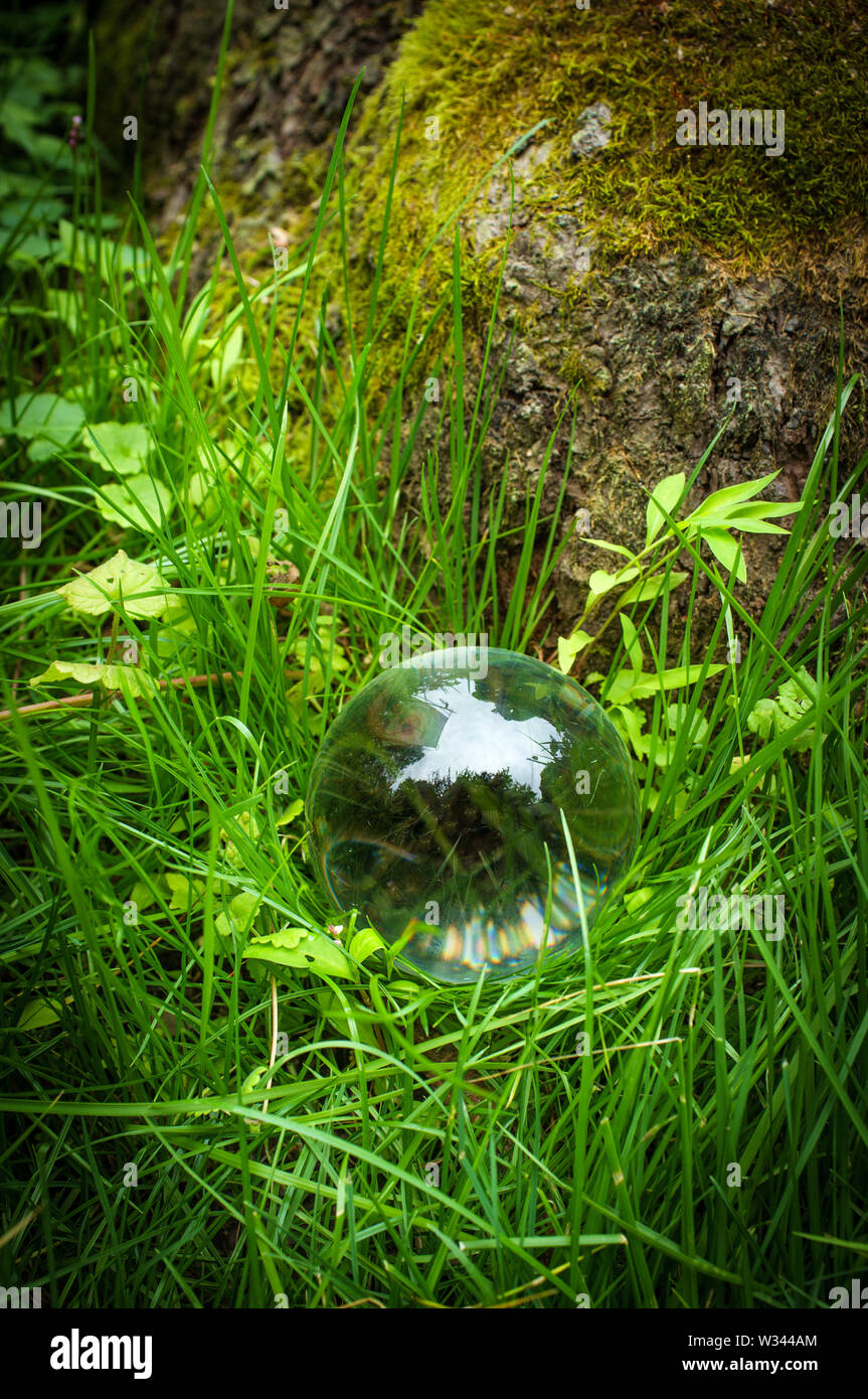 Fortune tellers magic glass crystal ball in nature Stock Photo - Alamy