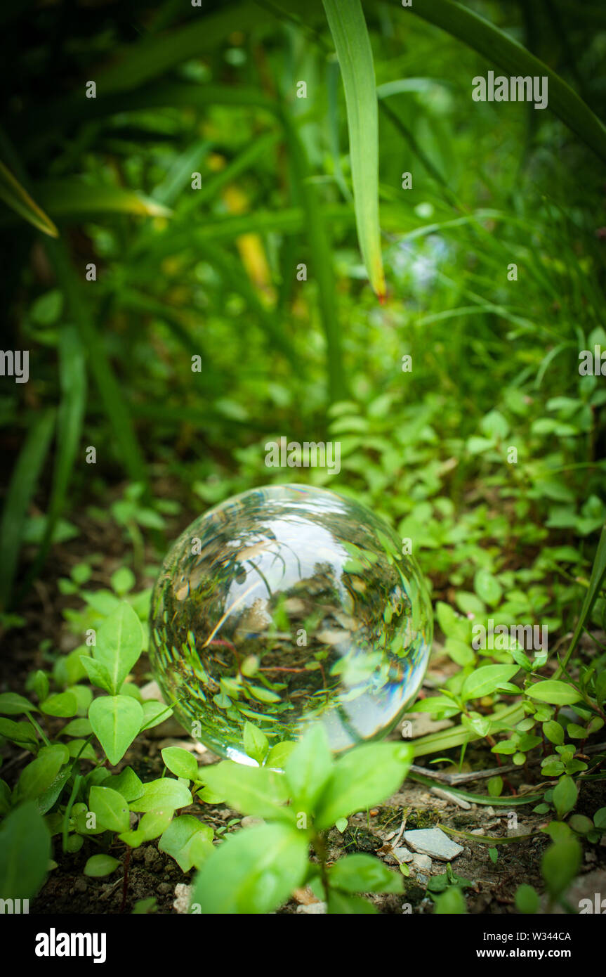 Fortune tellers magic glass crystal ball in nature Stock Photo - Alamy