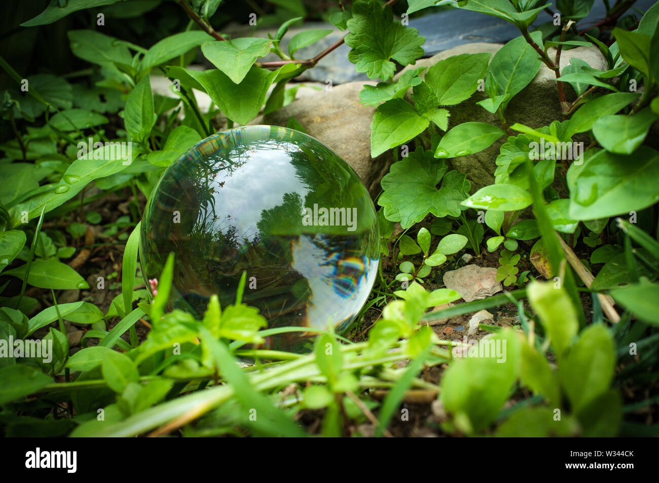 Fortune tellers magic glass crystal ball in nature Stock Photo - Alamy