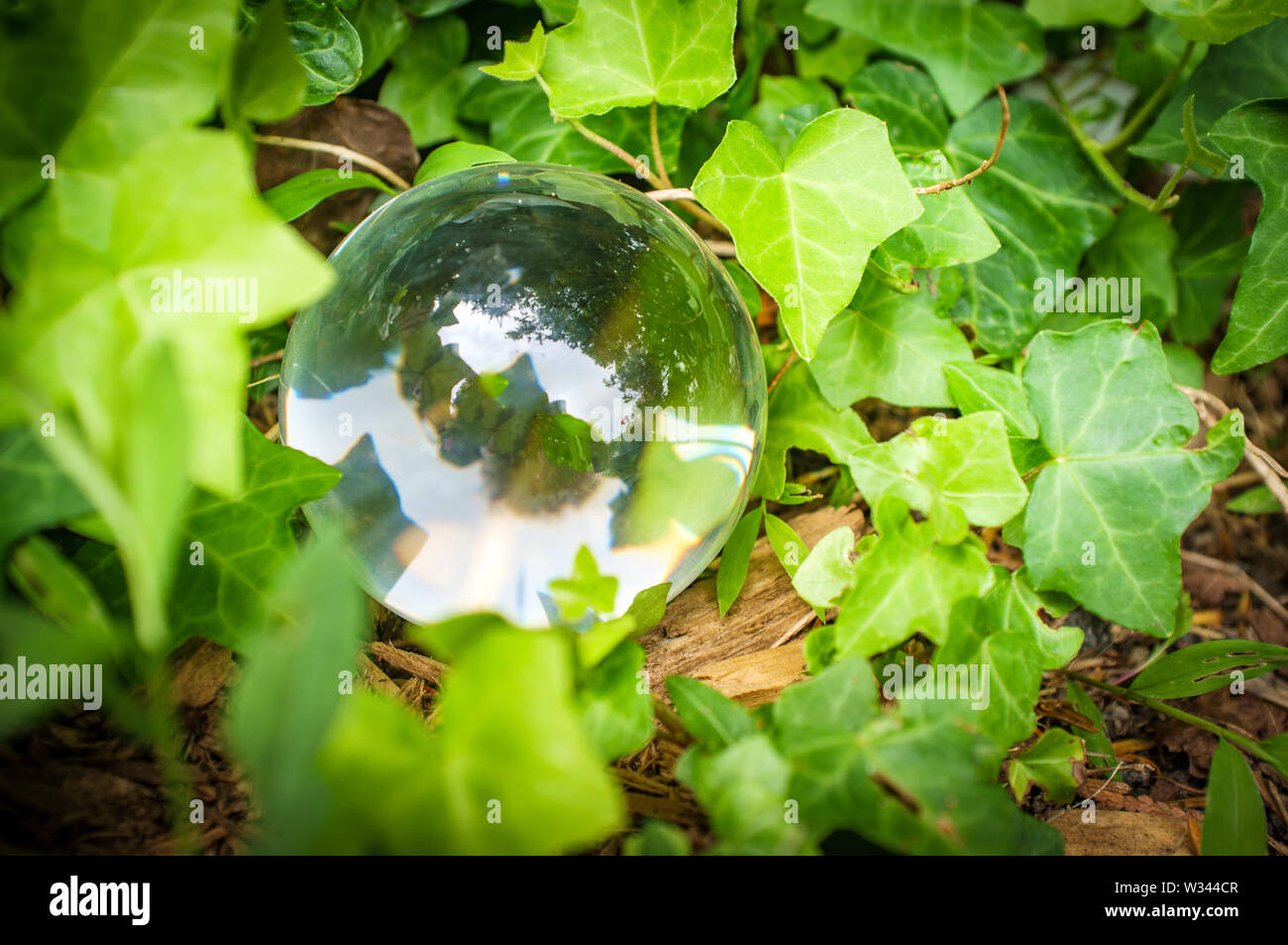 Fortune tellers magic glass crystal ball in nature Stock Photo - Alamy