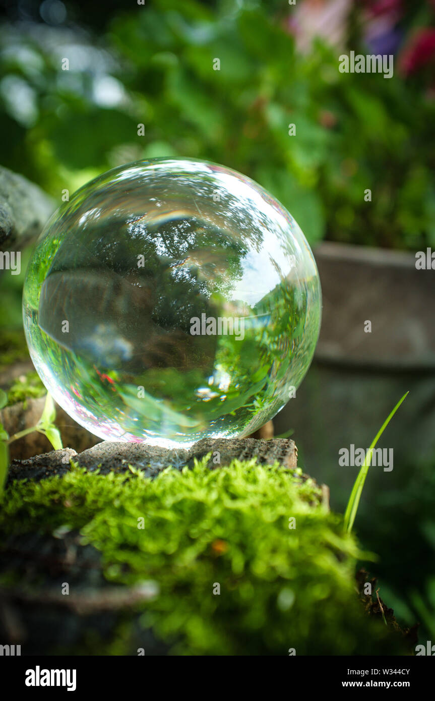 Fortune tellers magic glass crystal ball in nature Stock Photo - Alamy