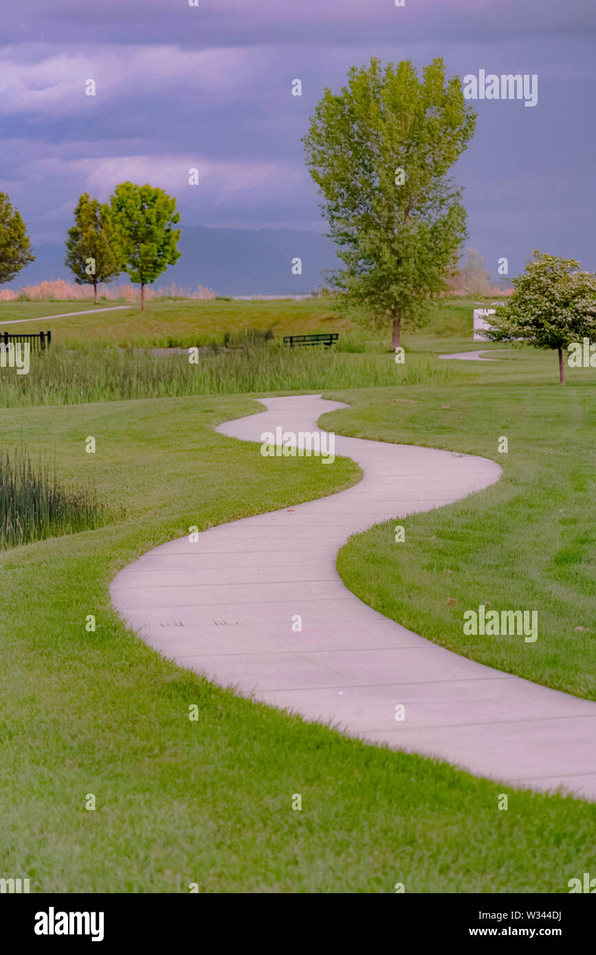 Curvy pathway small pond bench and trees on a grassy terrain under ...