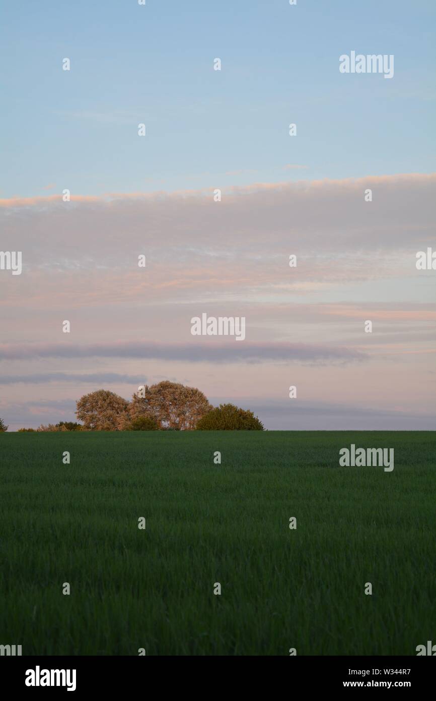 Suble sheds of colour in the sunset sky Stock Photo - Alamy