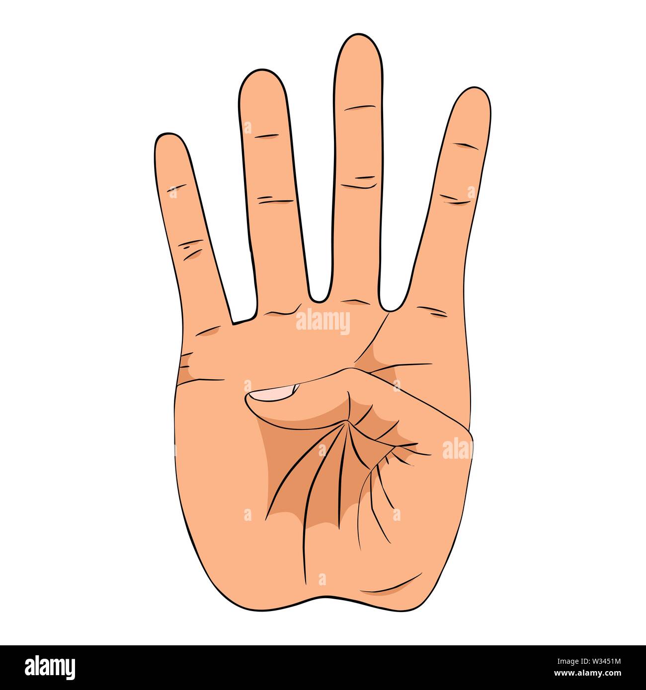 Show two Stock Vector Images - Alamy