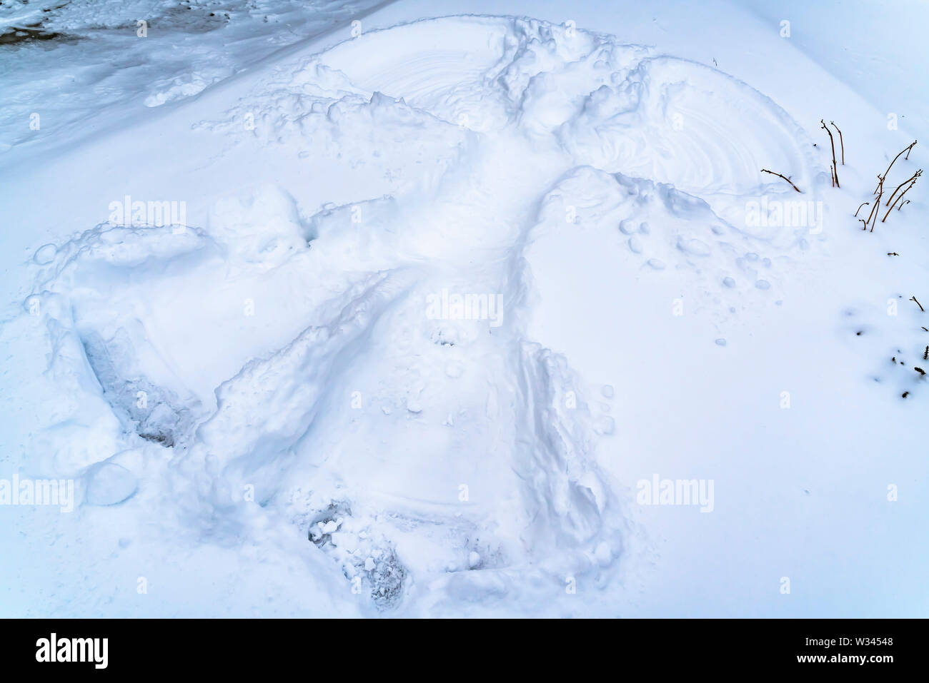 Close up view of a snow angel created on the ground covered with snow ...
