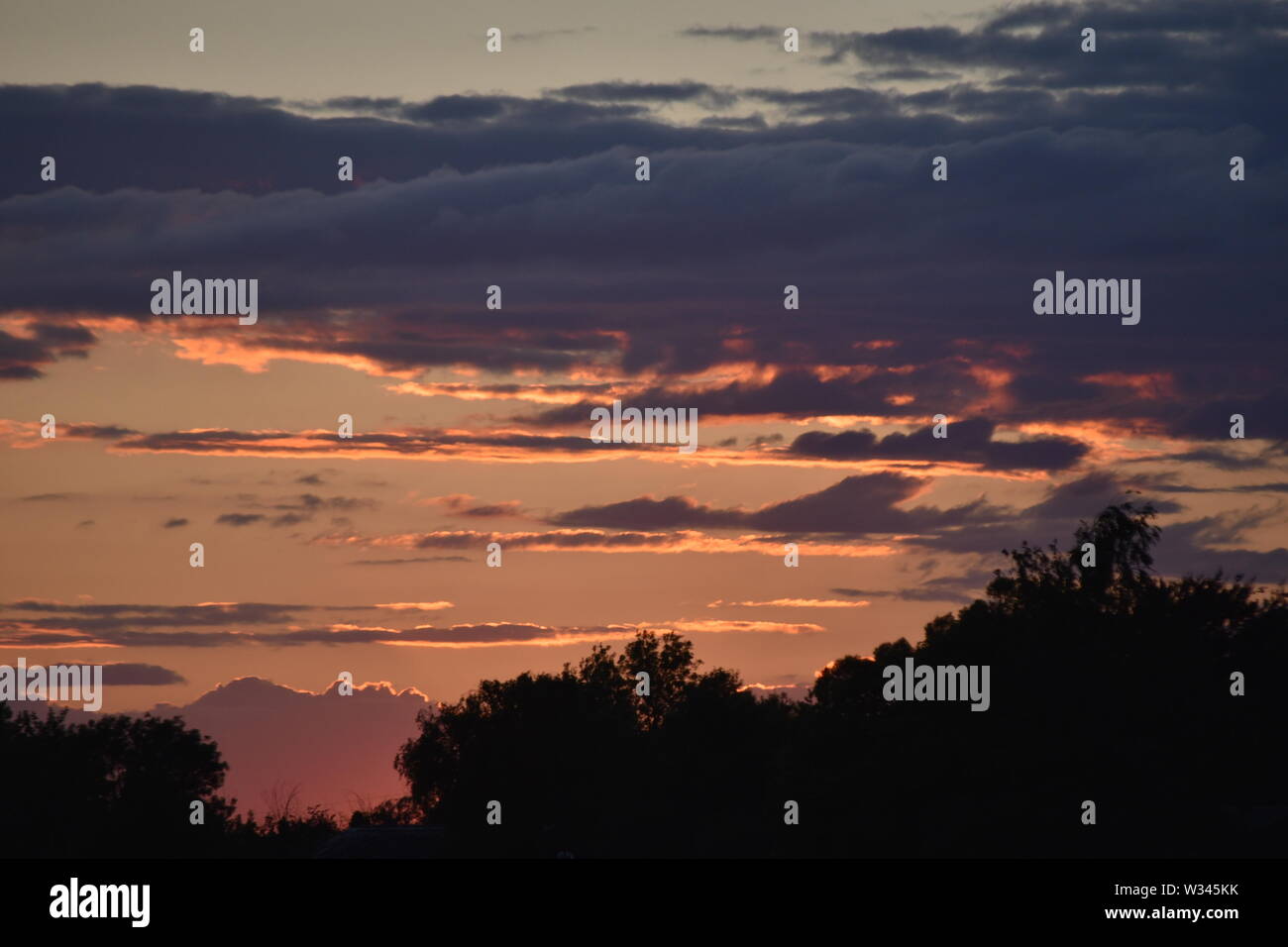 Sunset over the flat suffolk fields with some trees in the distance ...