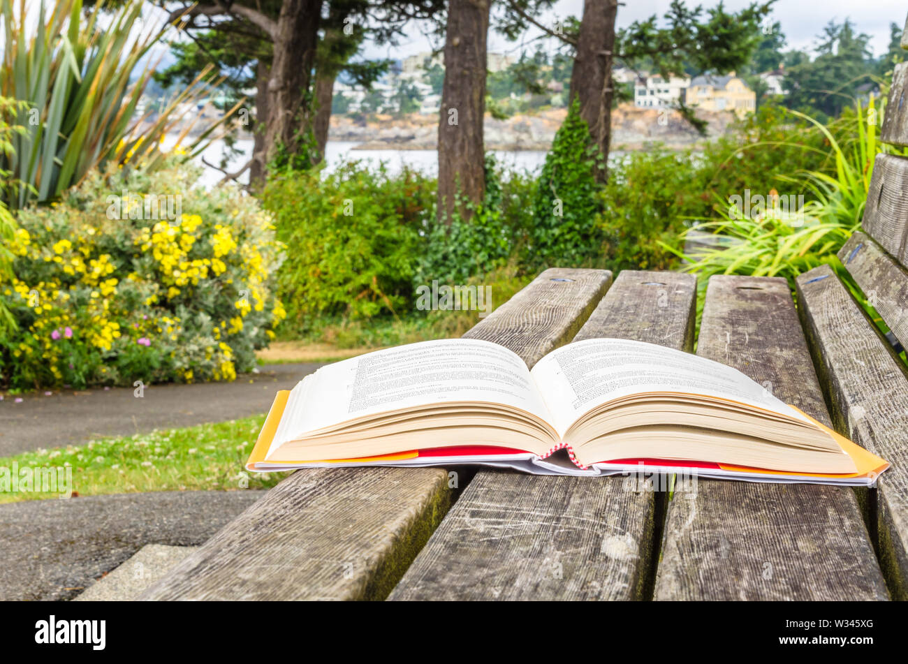 Book bench hi-res stock photography and images - Alamy