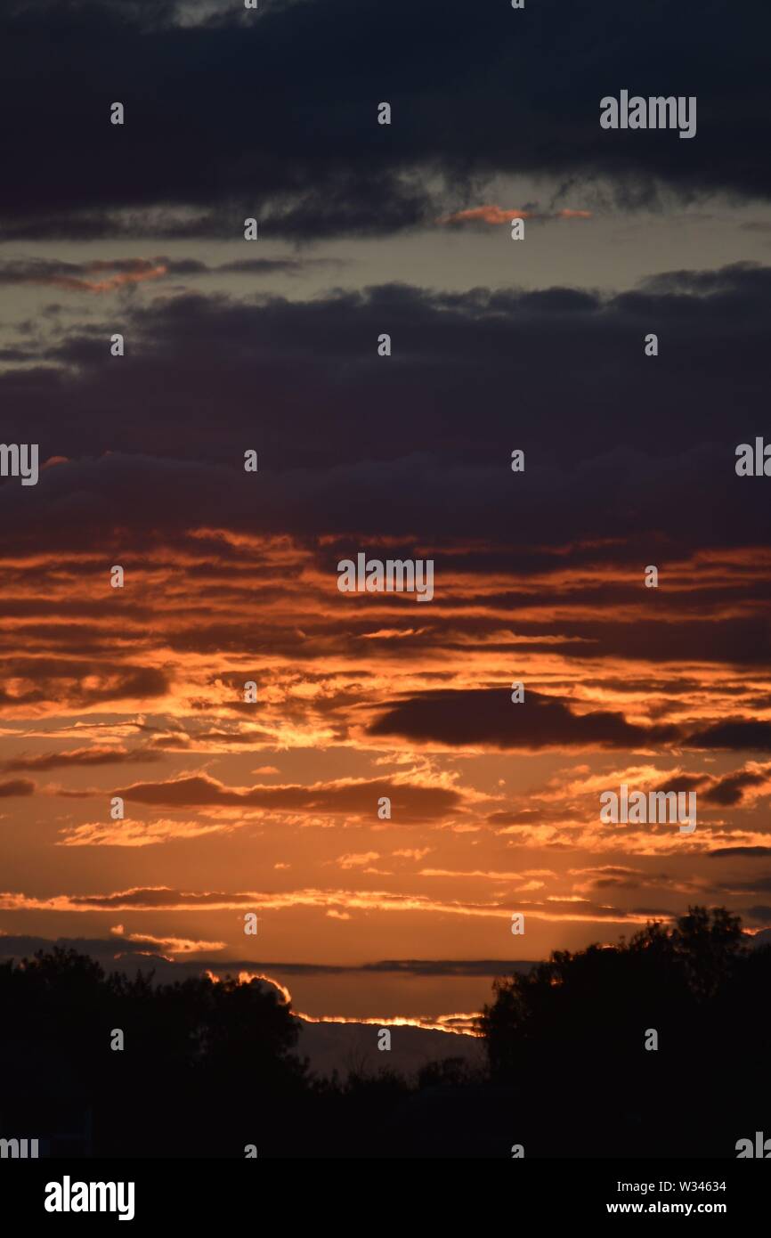 Sunset over the flat suffolk fields with some trees in the distance ...