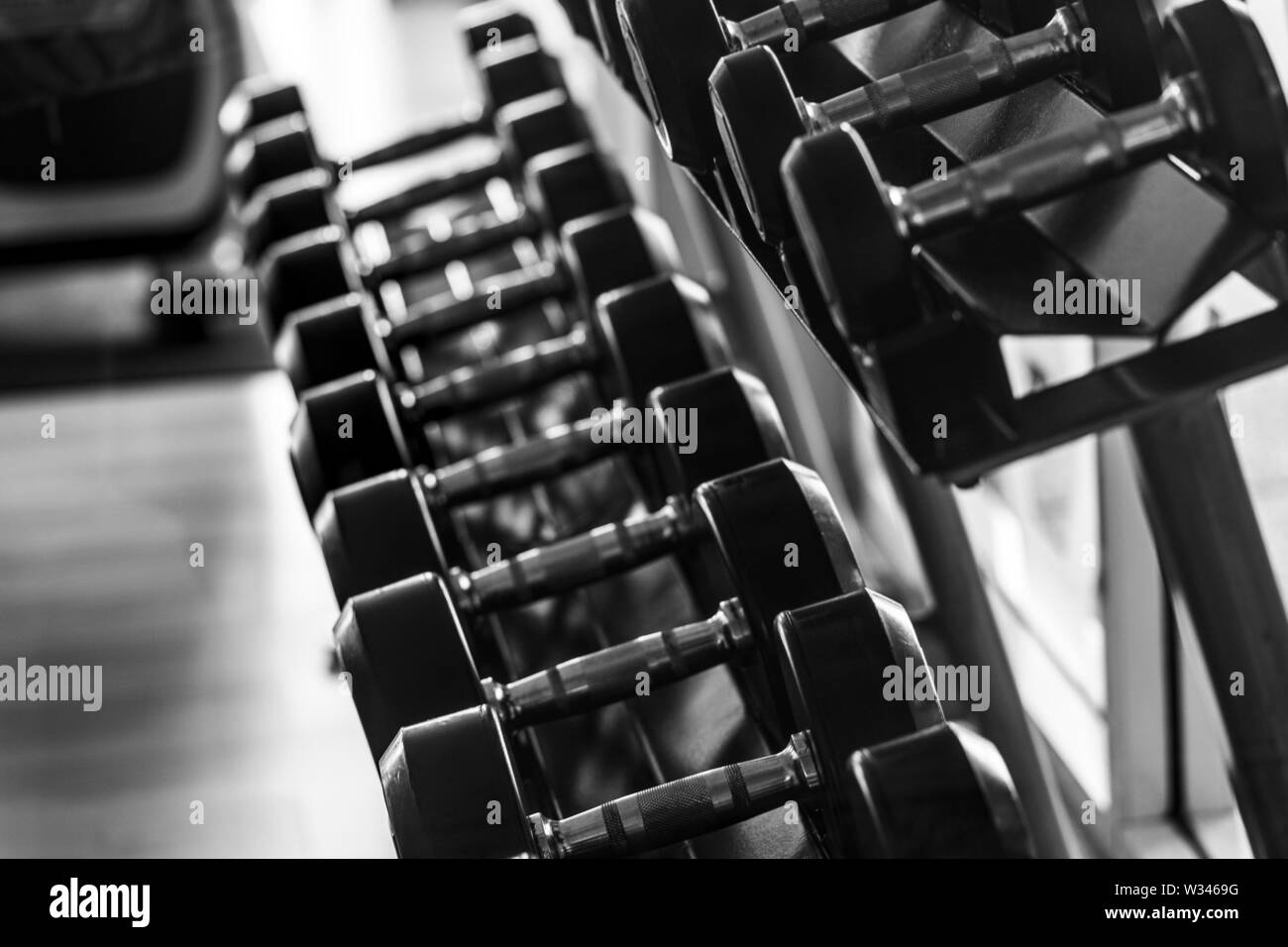 Black dumbbell set. Close up many metal dumbbells on rack in sport ...