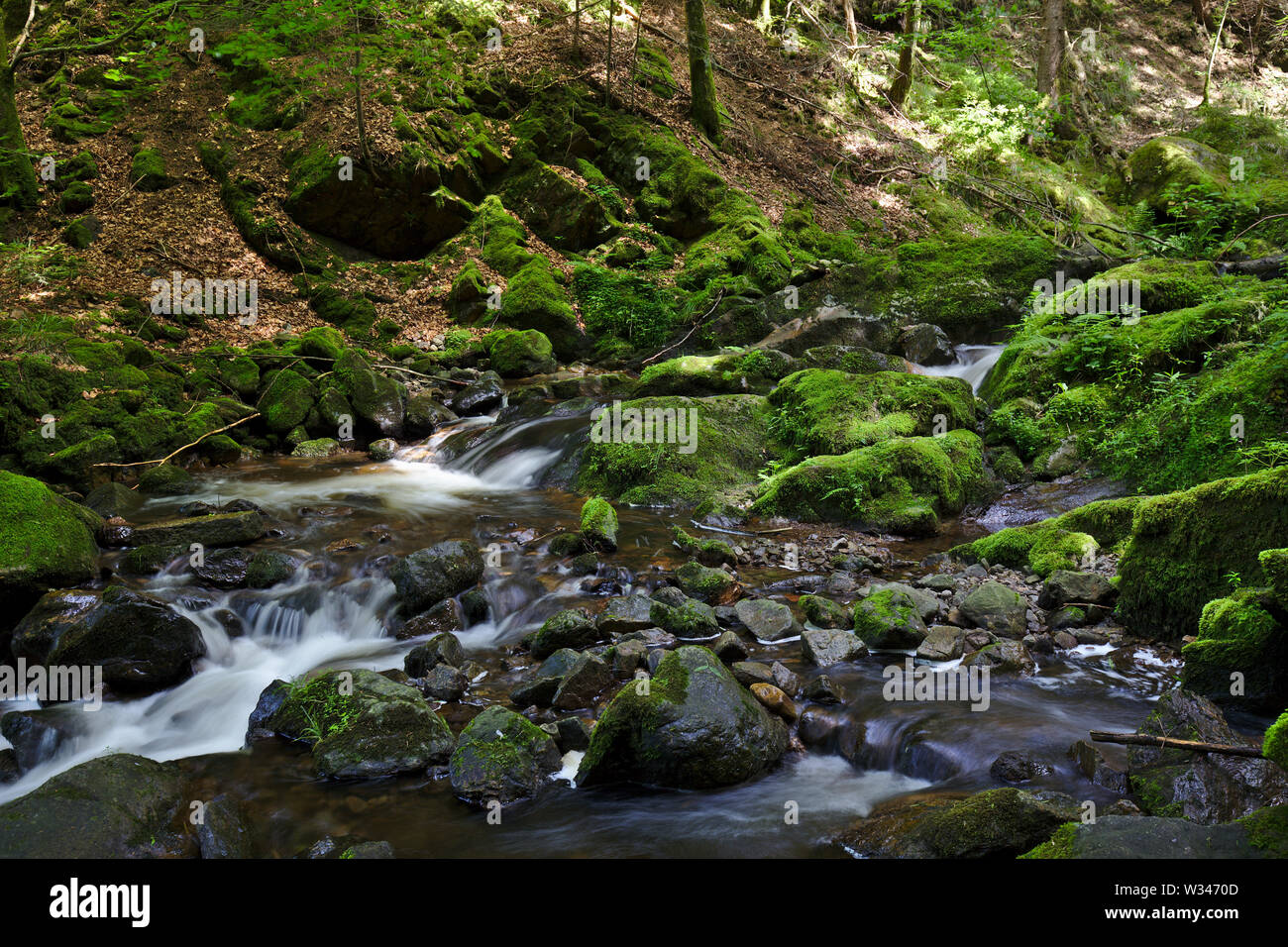 Ravennaschlucht schwarzwald hi-res stock photography and images - Alamy