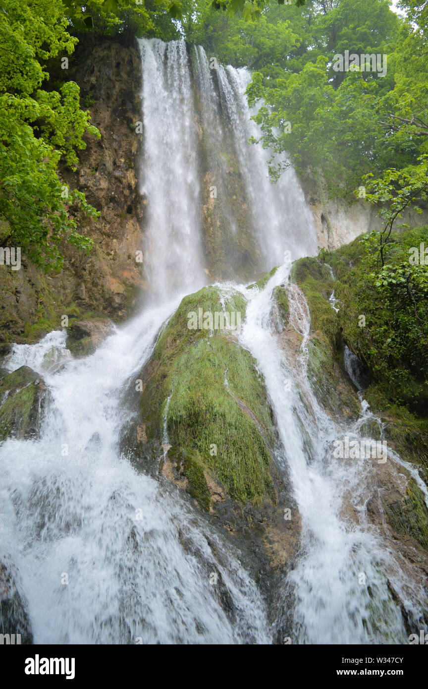 Slap skakavac hi-res stock photography and images - Alamy
