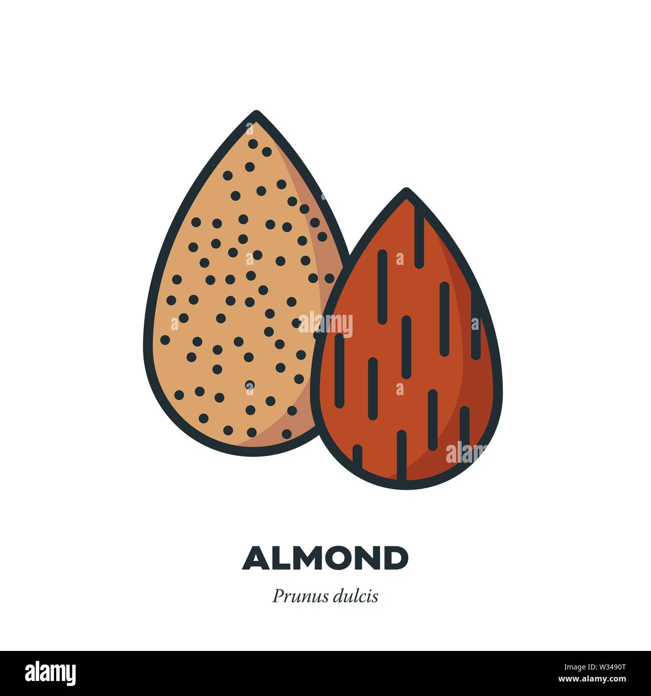 Dulcis Stock Vector Images - Alamy