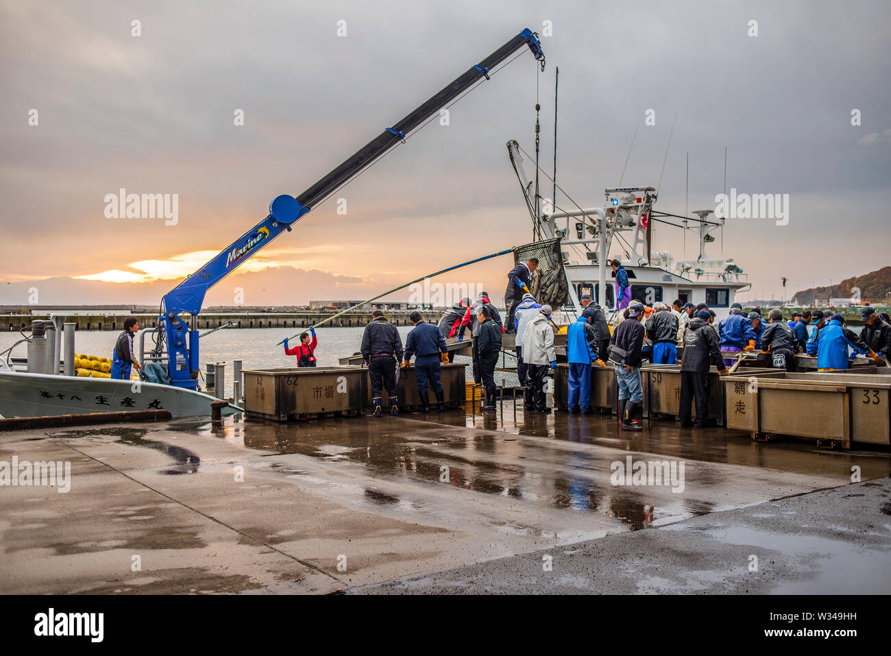 The early morning fish landing and auction at Japan Fisheries ...