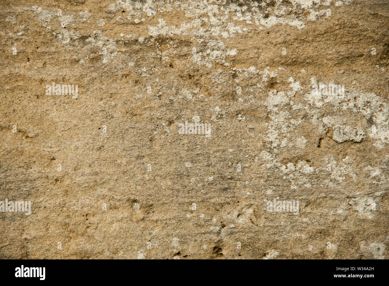 Pitted stone texture hi-res stock photography and images - Alamy