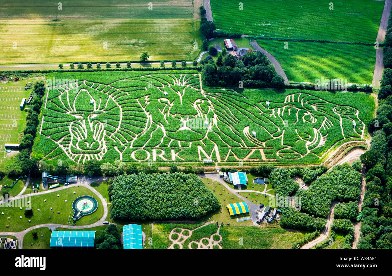 The 2019 York Maze in York, created from over one million living ...