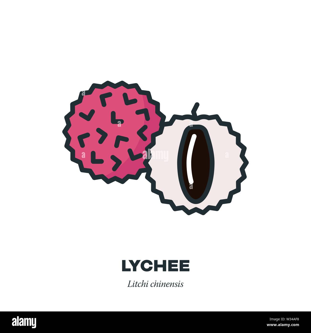 Lychee core Stock Vector Images - Alamy