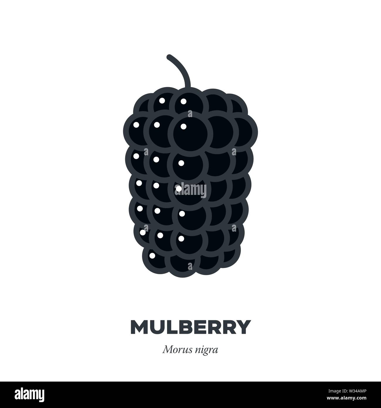 Black mulberry fruit icon, outline with color fill style vector ...