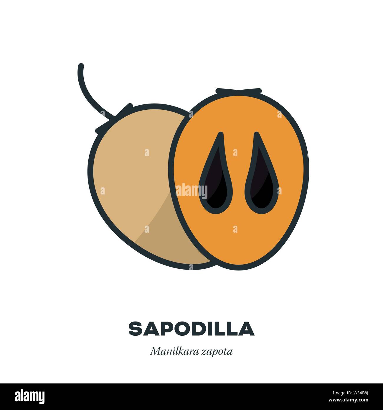 Sapodilla fruit Stock Vector Images - Alamy