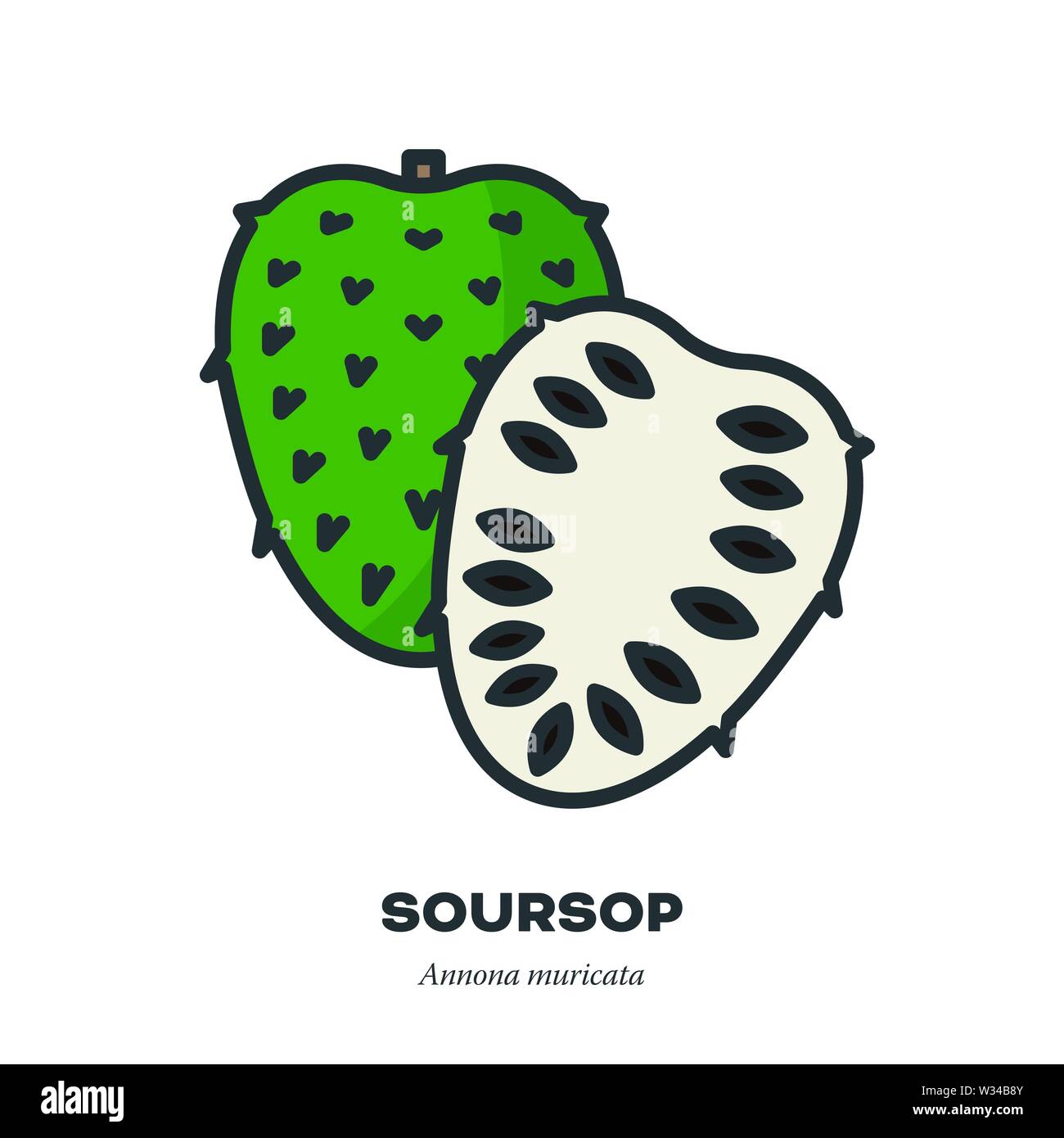 Soursop fruit icon, outline with color fill style vector illustration ...
