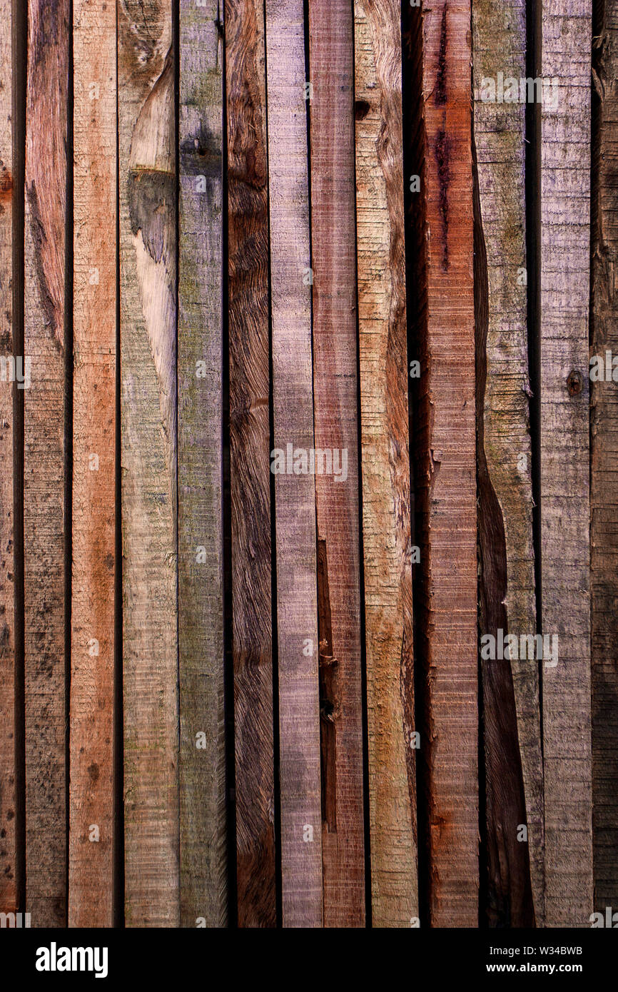 A collection of sawn hardwood boards showing a wide variety of colours ...