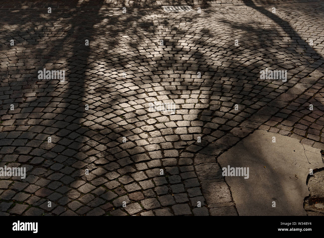 Dappled light through a tree onto cobblestone paving Stock Photo - Alamy