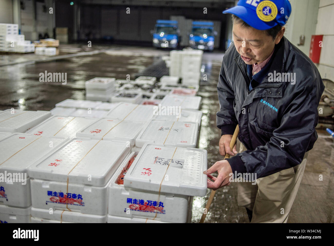 The early morning fish landing and auction at Japan Fisheries ...