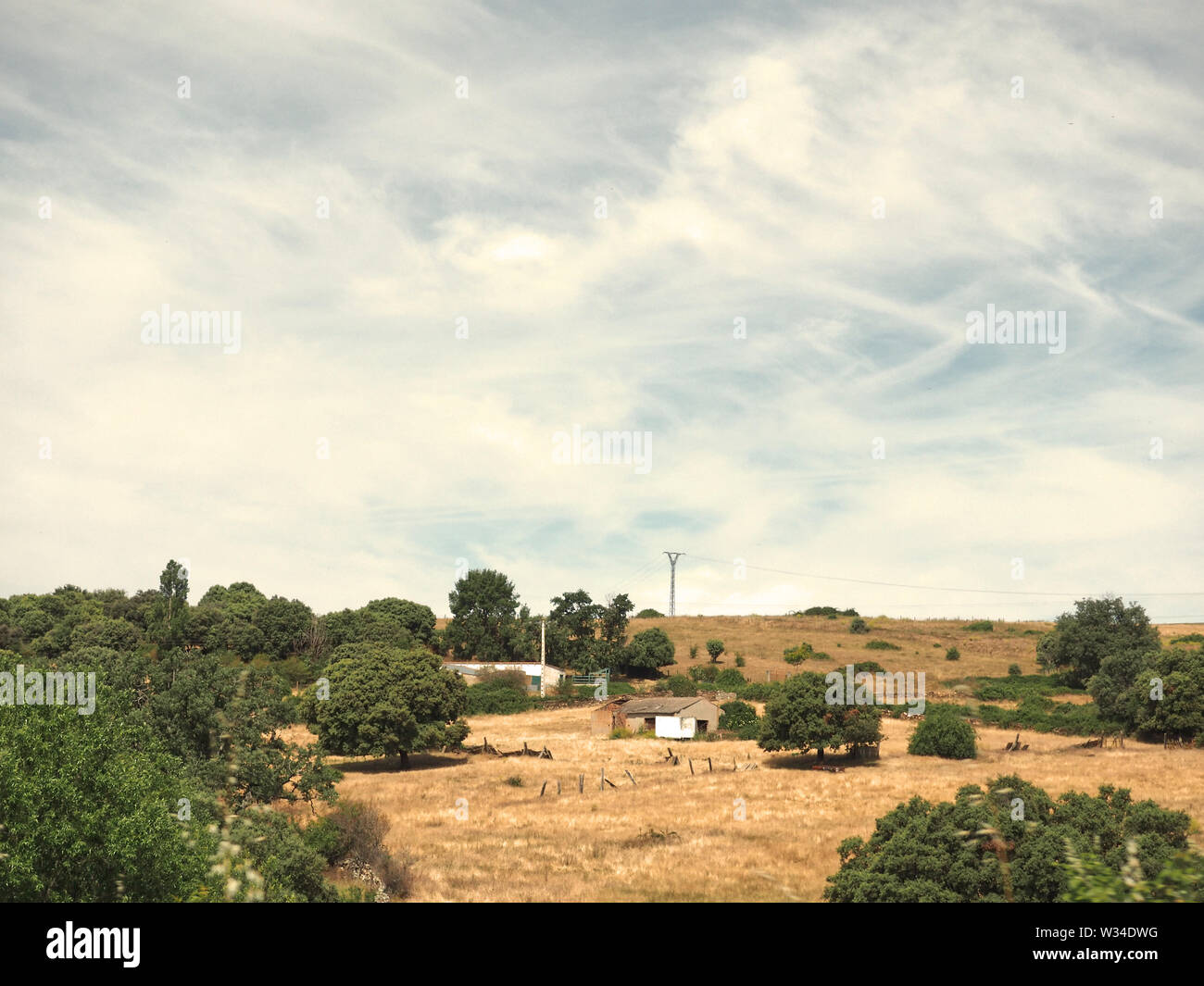beautiful landscape of Castilian countryside with oaks Stock Photo - Alamy