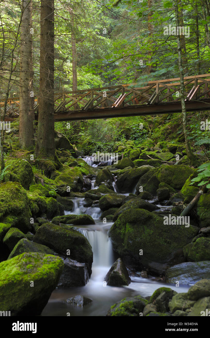 Wood Bridge over wild river in the Ravennaschlucht Stock Photo - Alamy