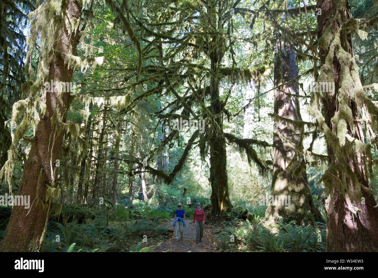 Seattle city hall park hi-res stock photography and images - Alamy