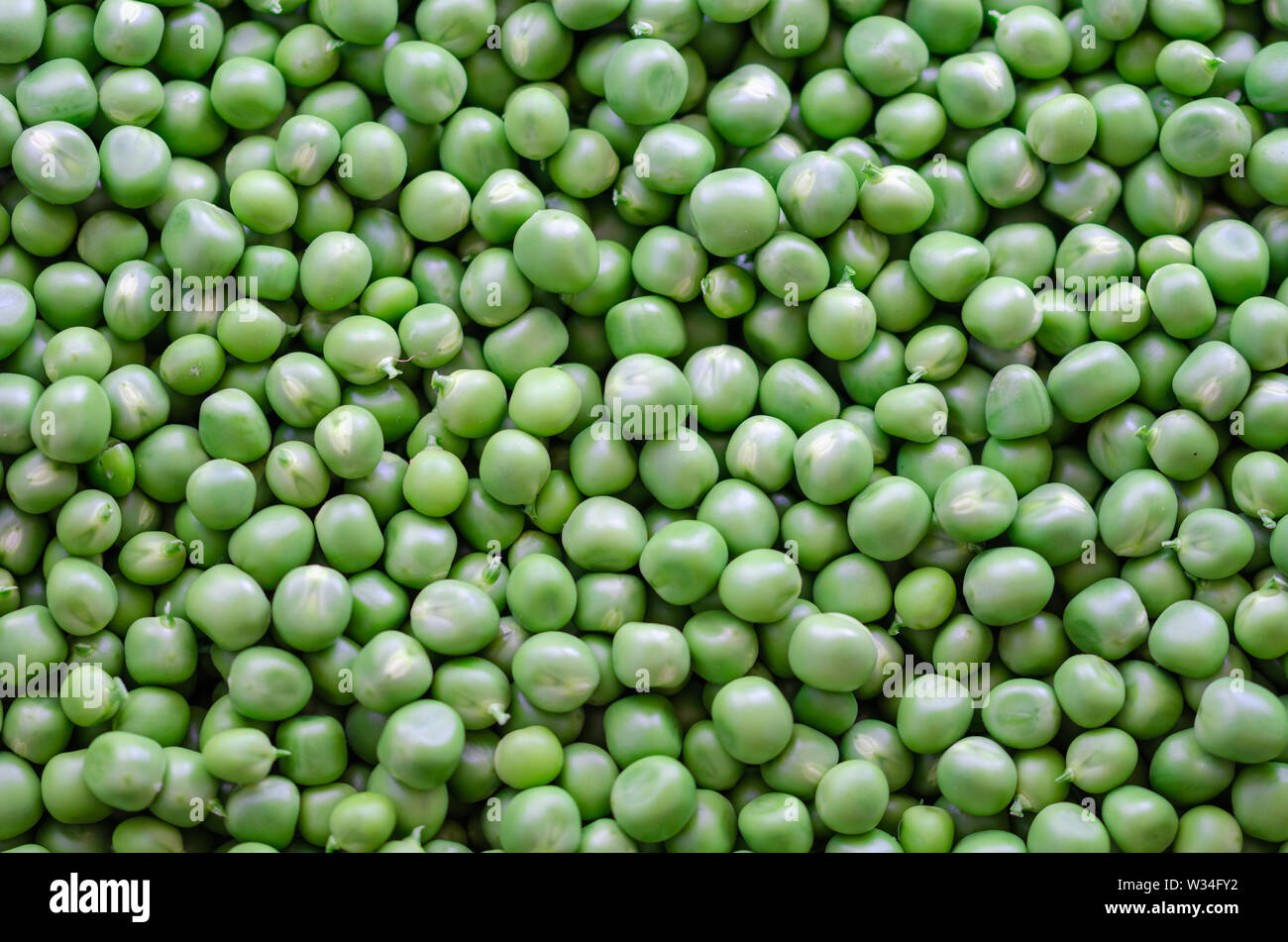 Organic fresh green peas. Healthy lifestyle, summer vegetarian food ...