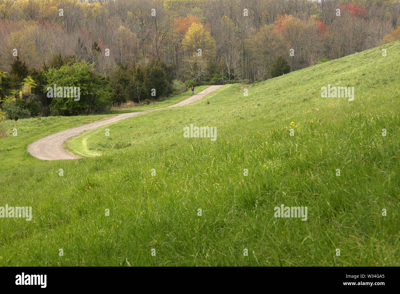Trail in an outdoor natural area in Pennsylvania, USA Stock Photo - Alamy