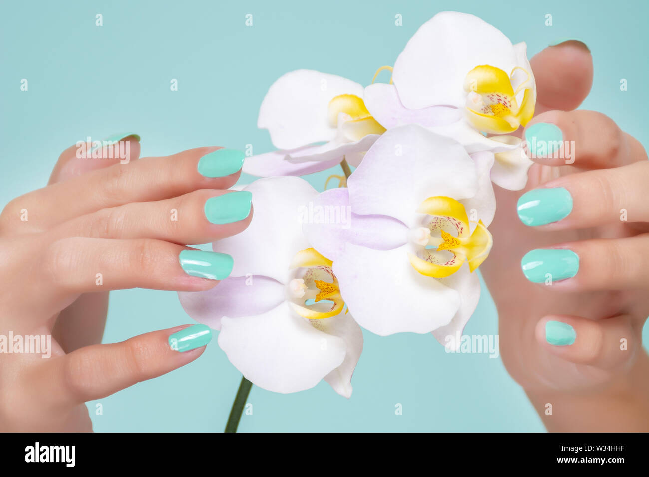 Female hand with a turquoise color manicure on nails and light lilac ...