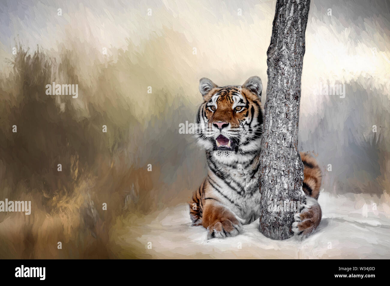 The Siberian tiger is the largest of the big cats and can weigh up to ...