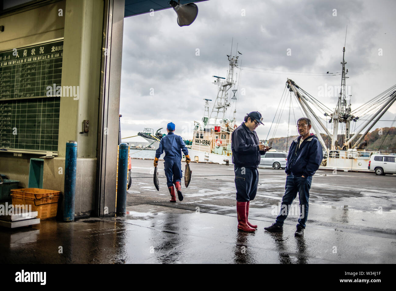 The early morning fish landing and auction at Japan Fisheries ...