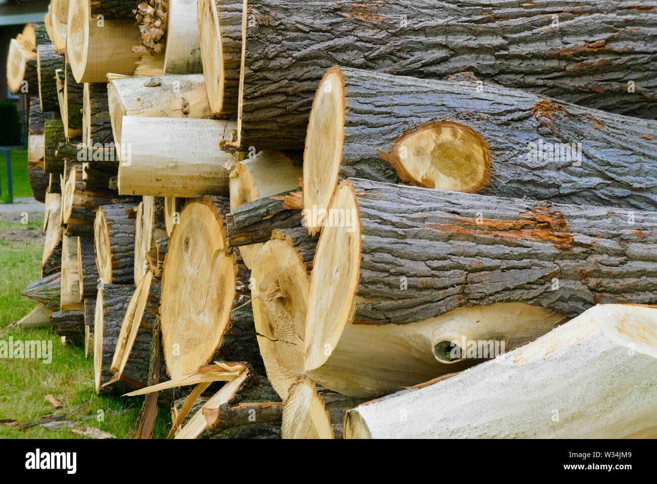 Logging lumber redwood hi-res stock photography and images - Alamy